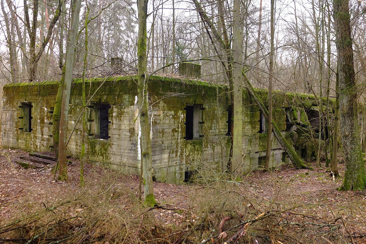 Gierłoż, Wilczy Szaniec – kwatera Hitlera, co warto wiedzieć?